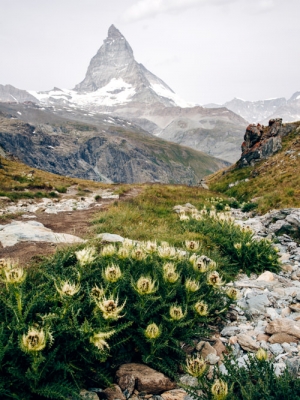 Summer In The Alps / Best Places To Spend An Alpine Summer