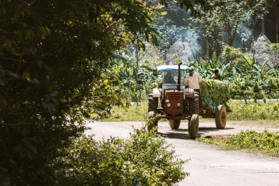 Best Viñales Valley Hike Including Map | Anywhere We Roam