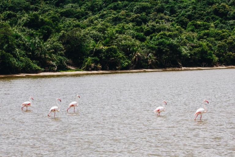 A Guide To Kosi Bay, South Africa | Anywhere We Roam