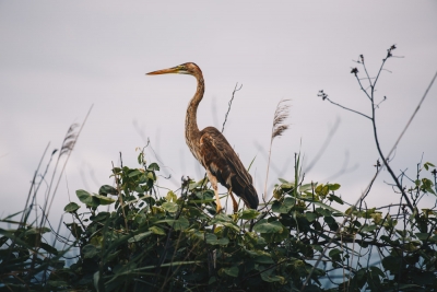 A Guide To Kosi Bay, South Africa | Anywhere We Roam