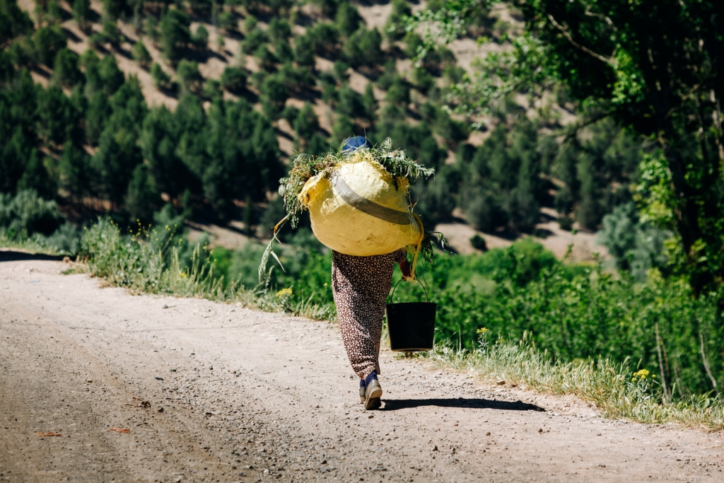 What To Do In The Valley Of The Roses, Morocco | Anywhere We Roam