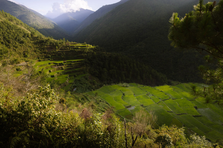 Best Of The Banaue Rice Terraces | Anywhere We Roam
