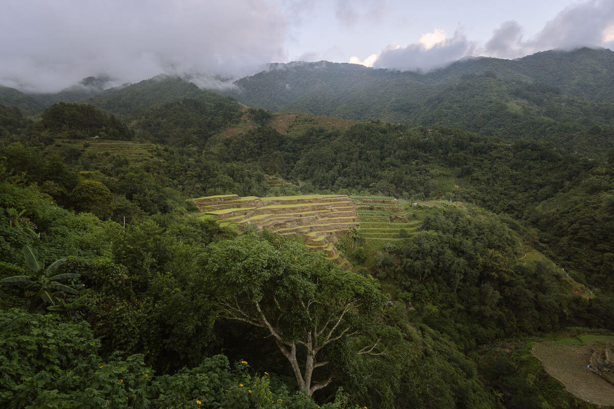Best Of The Banaue Rice Terraces | Anywhere We Roam