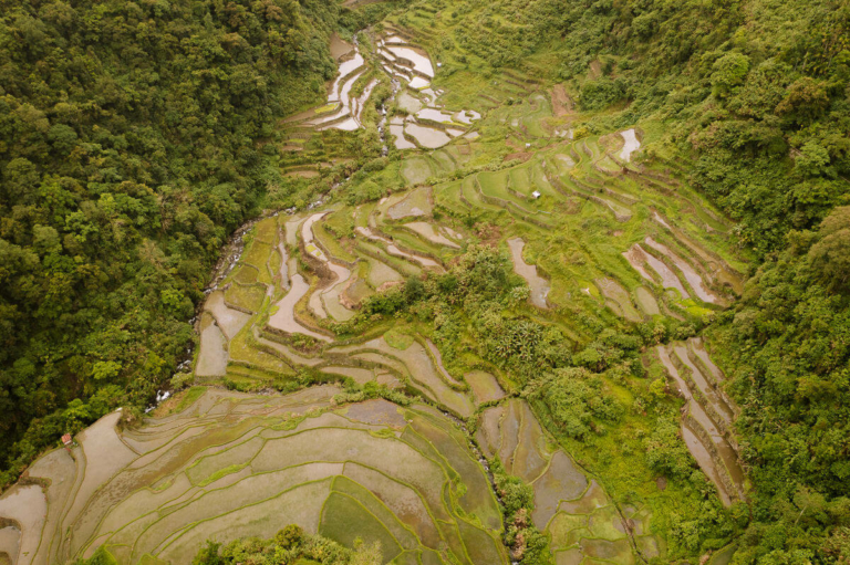Best Of The Banaue Rice Terraces | Anywhere We Roam