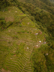 Best Of The Banaue Rice Terraces | Anywhere We Roam