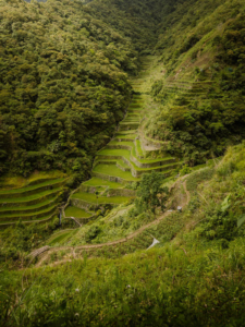 Best Of The Banaue Rice Terraces | Anywhere We Roam