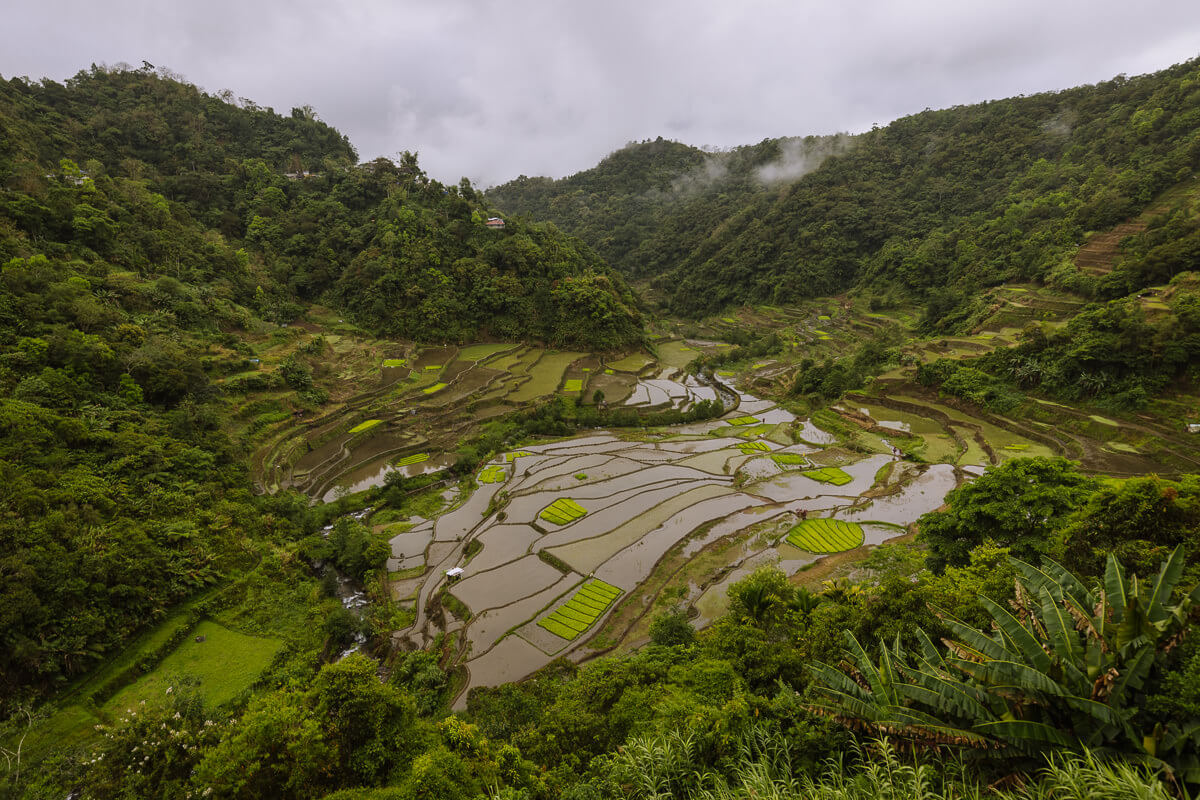 Best Of The Banaue Rice Terraces | Anywhere We Roam