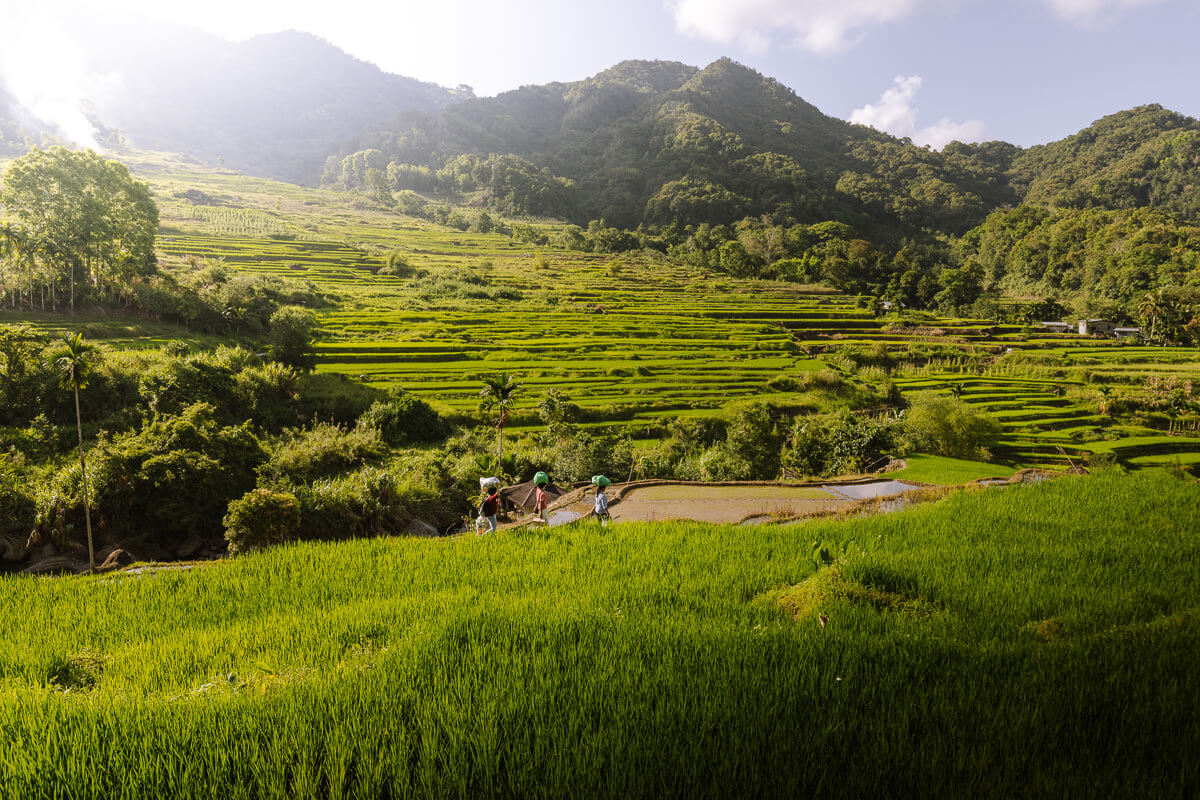 Best Of The Banaue Rice Terraces | Anywhere We Roam