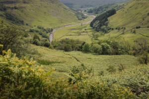 A Wild Getaway In Swaledale - The Unspoilt Valley In The Yorkshire Dales