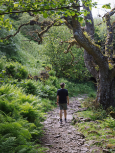 A Wild Getaway In Swaledale - The Unspoilt Valley In The Yorkshire Dales