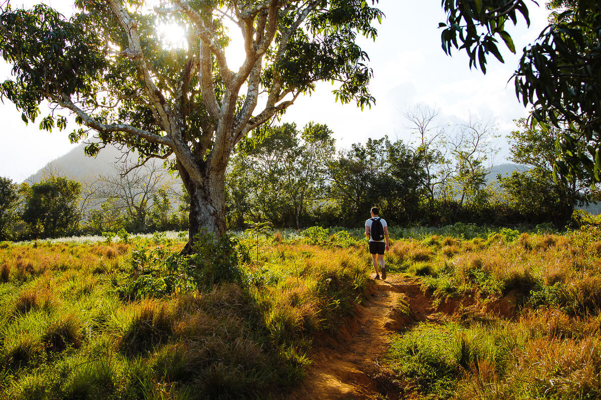 Best Viñales Valley Hike Including Map | Anywhere We Roam