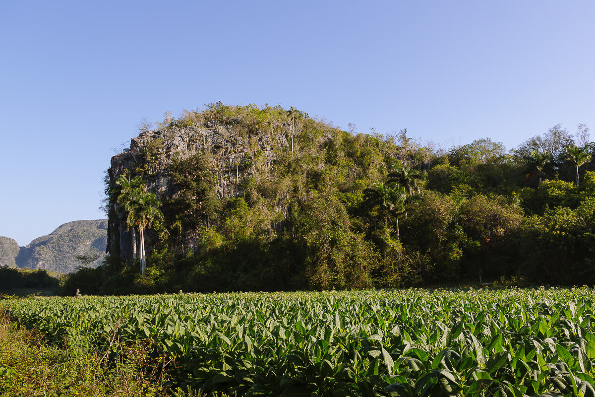 Best Viñales Valley Hike Including Map | Anywhere We Roam