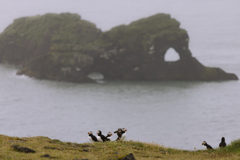 Guide To Dyrhólaey & Reynisfjara Beach | Anywhere We Roam