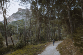 Guide To Hiking El Caminito Del Rey – Maps & Tours | July Dreamer