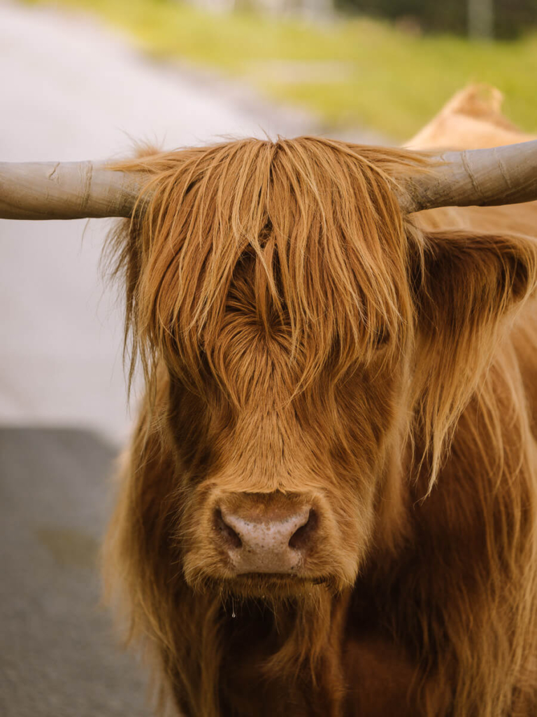 15 Places To Visit In The Scottish Highlands | Anywhere We Roam