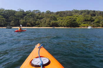 Sydney’s 20 Best Things To Do – What Not To Miss