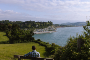 A Guide To Exeter & The East Devon Area Of Outstanding Natural Beauty