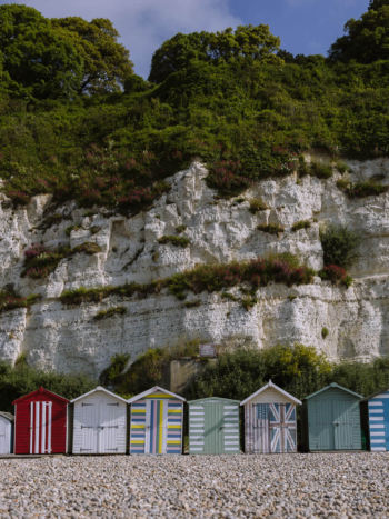 A Guide To Exeter & The East Devon Area Of Outstanding Natural Beauty