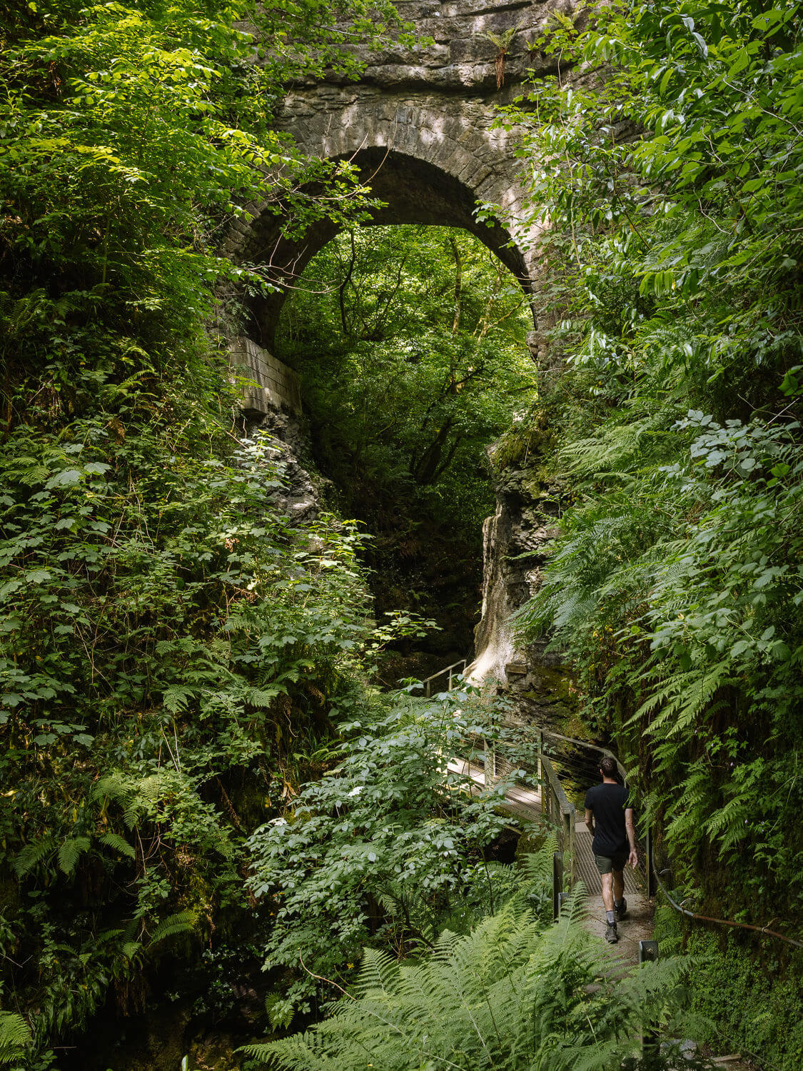 A Moody Escape: Unmissable Things To Do In Dartmoor National Park